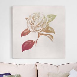 Bilderwelten Leinwandbild Modern Vintage Botanik Rose Rot Gr&uuml;n