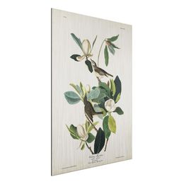 Bilderwelten Alu-Dibond Outdoor Bild Vintage Lehrtafel Fliegenschn&auml;pper