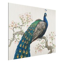 Bilderwelten Alu Dibond Outdoor Bild Blumen t&uuml;rkis Vintage wetterfest - Vintage Pfau mit Kirschbl&uuml;ten - Kirschbl&uuml;te Wohnzimmer Schlafzimmer