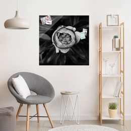 Bilderwelten Glasbild Blumen Motiv schwarz weiss Glas Wandbild - Pfingstrosenbl&uuml;te vor Bl&auml;ttern Schwarz Wei&szlig; - Rose Wohnzimmer Schlafzimmer