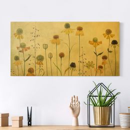 Bilderwelten Leinwandbild - Querformat Zarte Helenium Bl&uuml;ten