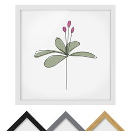 Bilderwelten Bild mit Rahmen - Quadrat Seerose Line Art