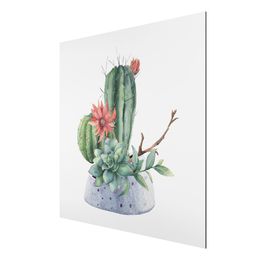 Bilderwelten Alu-Dibond Outdoor Bild Aquarell Kakteen Illustration