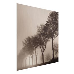 Alu Dibond Outdoor Bild - Baumallee im Morgennebel - Wald braun Motiv wetterfest B&auml;ume Wohnzimmer Schlafzimmer