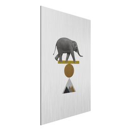 Alu Dibond Outdoor Bild - Balancekunst Elefant - originell grau Illustration wetterfest Deko Wohnzimmer Schlafzimmer