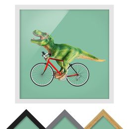 Bilderwelten Bild mit Rahmen - Quadrat Dinosaurier mit Fahrrad