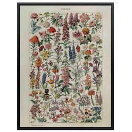 Bilderwelten Leinwandbild Vintage Lehrtafel Blumen V