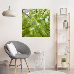 Bilderwelten Glasbild Wald Motiv gr&uuml;n Glas Wandbild - Buchenwald am Lindkogel - B&auml;ume Wohnzimmer Schlafzimmer