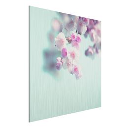 Bilderwelten Alu Dibond Outdoor Bild Blumen rosa Motiv wetterfest - Farbenfrohe Kirschbl&uuml;ten - Kirschbl&uuml;te Wohnzimmer Schlafzimmer
