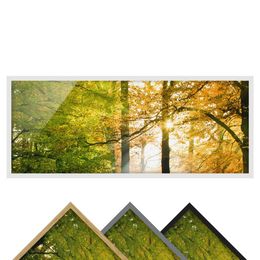Bilderwelten Bild mit Rahmen - Panorama Morning Light