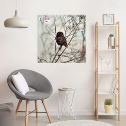 Bilderwelten Glasbild Tiere Motiv beige Glas Wandbild - Eule im Winter - Eule Wohnzimmer Schlafzimmer
