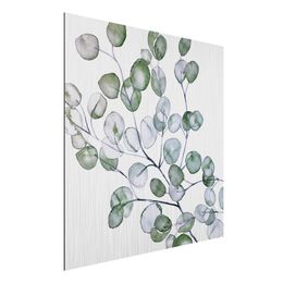 Bilderwelten Alu Dibond Outdoor Bild originell gr&uuml;n Tropisch Aquarell - Gr&uuml;nes Aquarell Eukalyptuszweig - Pflanzen Wohnzimmer Schlafzimmer