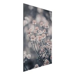 Alu Dibond Outdoor Bild - Mystischer Bl&uuml;tenstrauch - Blumen braun Landhaus wetterfest Gr&auml;ser Wohnzimmer Schlafzimmer