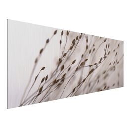 Bilderwelten Alu Dibond Outdoor Bild Blumen braun Landhaus wetterfest - Zarte Gr&auml;ser im Windschatten - Gr&auml;ser Wohnzimmer Schlafzimmer