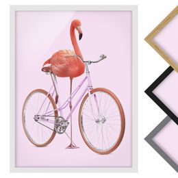 Bilderwelten Bild mit Rahmen Tiere rosa Fotomontage inkl. Rahmung - Flamingo mit Fahrrad - Fahrzeuge Wohnzimmer Schlafzimmer