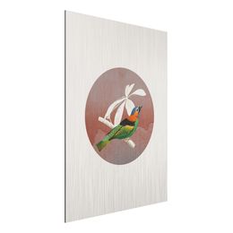 Bilderwelten Alu Dibond Outdoor Bild Tiere bunt Illustration Aquarell - Vogel Collage im Kreis II - V&ouml;gel Wohnzimmer Schlafzimmer