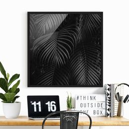 Bilderwelten Bild mit Rahmen Schwarze Palmwedel