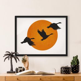 Bilderwelten Bild mit Rahmen V&ouml;gel vor gelber Sonne