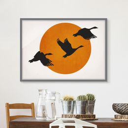 Bilderwelten Bild mit Rahmen V&ouml;gel vor gelber Sonne