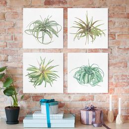 Bilderwelten Leinwandbild Blumen Tropisch Aquarell Leinwanddruck - Luftpflanze Aquarell Set I - Pflanzen XXL Wohnzimmer Schlafzimmer