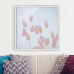 Bilderwelten Bild mit Rahmen Rosa Gr&auml;serspitzen