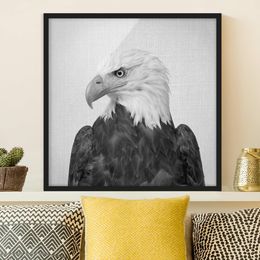 Bilderwelten Bild mit Rahmen Seeadler Sokrates Schwarz Wei&szlig;