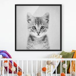 Bilderwelten Bild mit Rahmen Baby Katze Killi Schwarz Wei&szlig;