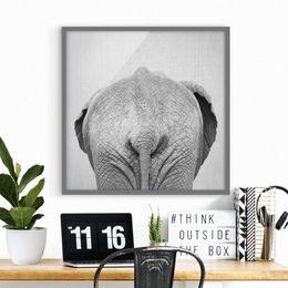 Bilderwelten Bild mit Rahmen Tiere schwarz weiss Motiv inkl. Rahmung - Elefant von hinten Schwarz Wei&szlig; - Elefant Kinderzimmer Baby M&auml;dchen Jungen