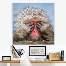 Bilderwelten Leinwandbild Tiere Motiv Kunstdruck braun - Japanischer Schneeaffe - Affe XXL Wohnzimmer Schlafzimmer