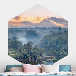 Hexagon Fototapete selbstklebend Landschaft in Bali