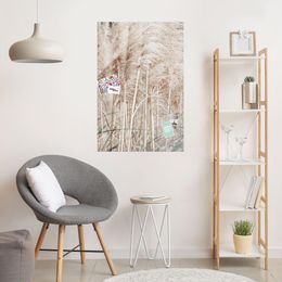 Bilderwelten Glasbild Warmes Pampasgras im Sommer