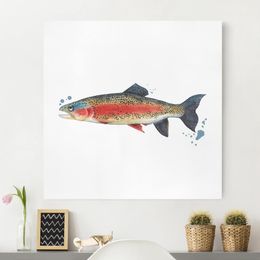 Bilderwelten Leinwandbild Tiere modern Aquarell weiss - Farbfang - Forelle - Fische XXL K&uuml;che
