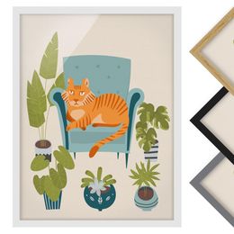 Bild mit Rahmen Stubentiger Illustration