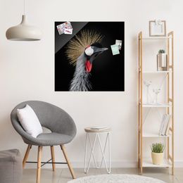 Bilderwelten Glasbild Tiere Motiv schwarz Glas Wandbild - Kronenkranich vor Schwarz - V&ouml;gel Wohnzimmer Schlafzimmer