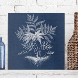 Bilderwelten Leinwandbild Blumen Tropisch Kunstdruck blau - Denim Pflanzenstudie IV - Pflanzen XXL Wohnzimmer Schlafzimmer