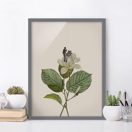 Bilderwelten Bild mit Rahmen Portrait gr&uuml;n Vintage inkl. Rahmung - Film Ab im Garten - Retro Wohnzimmer Schlafzimmer