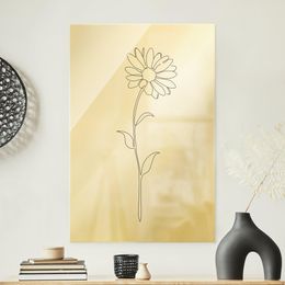 Bilderwelten Glasbild Line Art Blumen - Margerite