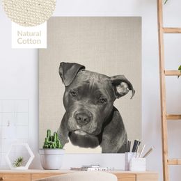 Bilderwelten Leinwandbild Pitbull Pelle Schwarz Wei&szlig;