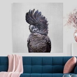 Bilderwelten Leinwandbild Tiere Motiv Kunstdruck schwarz weiss - Kakadu Kanye - V&ouml;gel XXL Kinderzimmer Baby M&auml;dchen Jungen