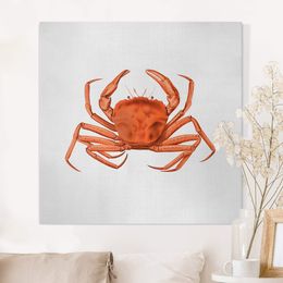 Bilderwelten Leinwandbild Strand Illustration Kunstdruck rot - Vintage Illustration Rote Krabbe - Unterwasser XXL Wohnzimmer Schlafzimmer