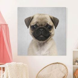 Bilderwelten Leinwandbild Tiere Motiv Kunstdruck schwarz weiss - Baby Mops Moritz - Hund XXL Kinderzimmer Baby M&auml;dchen Jungen