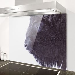 Bilderwelten Glas Spritzschutz Motiv weiss Tiere - Schwarzer B&uuml;ffel im Portrait - Deko K&uuml;chenr&uuml;ckwand aus Glas