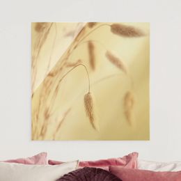 Bilderwelten Glasbild Blumen Landhaus beige Glas Wandbild - Zartes Glanzgras - Gr&auml;ser Wohnzimmer Schlafzimmer
