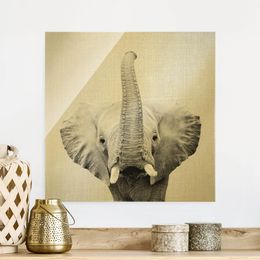 Bilderwelten Glasbild Tiere Motiv schwarz weiss Glas Wandbild - Elefant Ewald Schwarz Wei&szlig; - Elefant Kinderzimmer Baby M&auml;dchen Jungen