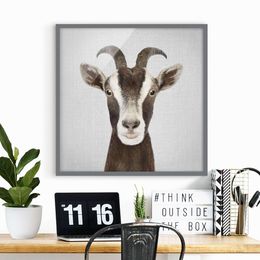 Bilderwelten Bild mit Rahmen Tiere schwarz weiss Motiv inkl. Rahmung - Ziege Zora - Deko Kinderzimmer Baby M&auml;dchen Jungen