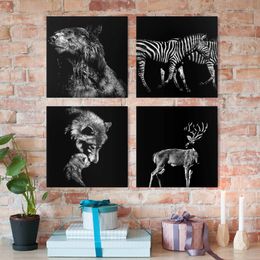 Bilderwelten Leinwandbild Tiere Illustration Kunstdruck Leinwanddruck - Wildtiere vor Schwarz Set I - B&auml;r XXL Wohnzimmer Schlafzimmer