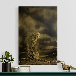 Bilderwelten Leinwandbild - Querformat Gepard in der Wildness