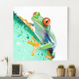 Bilderwelten Leinwandbild Tiere modern Kunstdruck Leinwanddruck - Frog - Frosch XXL Wohnzimmer Schlafzimmer