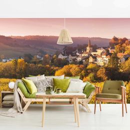Bilderwelten Fototapete Natur Motiv Wandtapete gelb - Weinberge in Frankreich - Sonnenuntergang Wohnzimmer Schlafzimmer