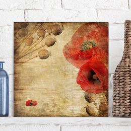 Bilderwelten Leinwandbild - Quadrat Poppy Flower